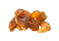 Himalaya Diakof - The Cough Linctus for Diabetic – Himalaya Wellness ...